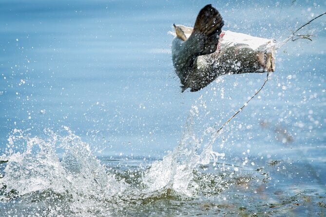Croc Country Safaris - FAQ