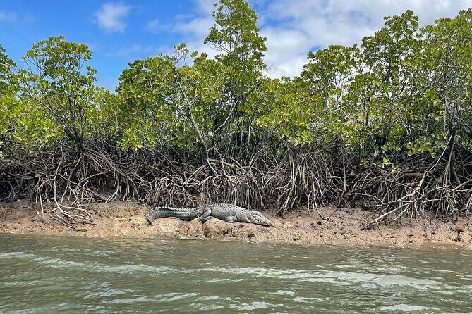 Croc Spotting Jetski Experience in Cairns City - Final Thoughts