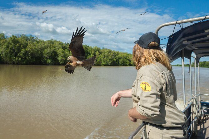 Crocodile Jumping Boat Cruise with Transfer from Darwin - The Sum Up: Is It Worth It?