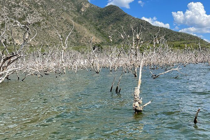Crocodile Watching in Lago Enrriquillo, ALL INCLUSIVE - What to Expect from the Tour