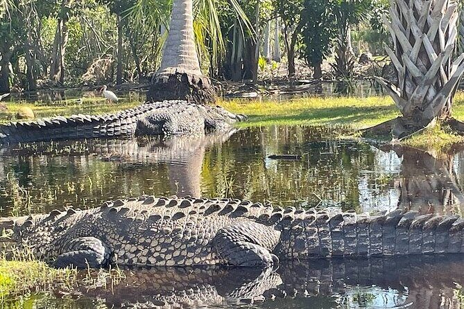 Crocodiles and Turtles Ecological Tour - Crocodiles and Turtles Ecological Tour: An Honest Look at a Nature-Focused Experience in Huatulco