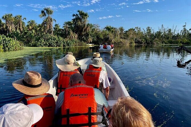 Crocodiles and Turtles Ecological Tour - Key Points