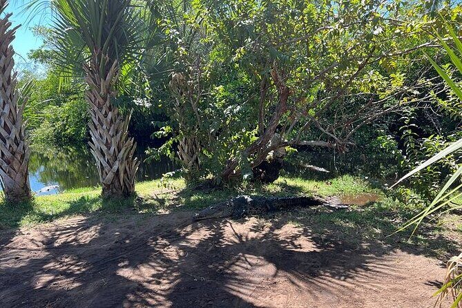 Crocodiles and Turtles Ecological Tour - Who Will Love This Tour?