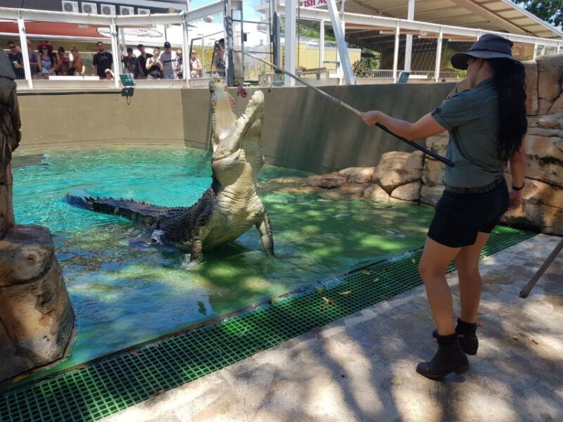 Crocosaurus Cove General Admission Ticket - An In-Depth Look at Crocosaurus Cove