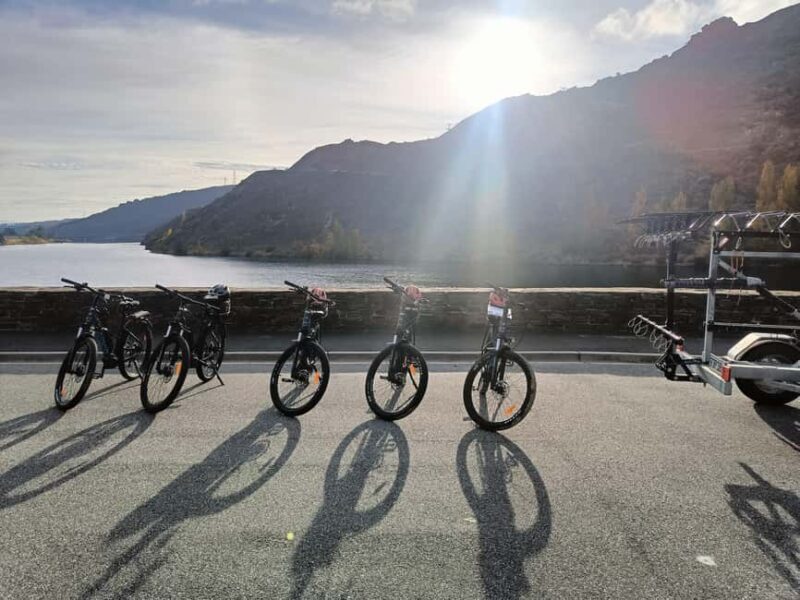 Cromwell: Lake Dunstan Trail Bike Rental and Luxury Shuttle - An In-Depth Look at the Lake Dunstan Trail Bike Experience