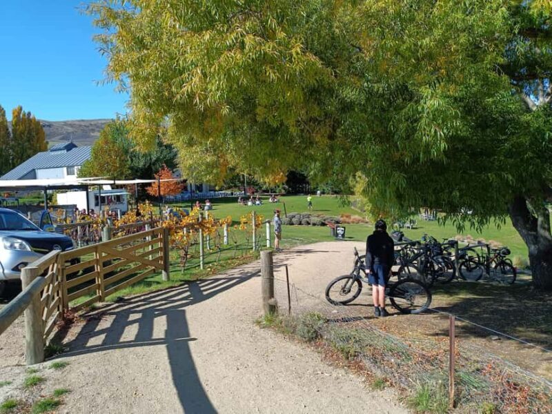 Cromwell: Lake Dunstan Trail Bike Rental and Luxury Shuttle - FAQ