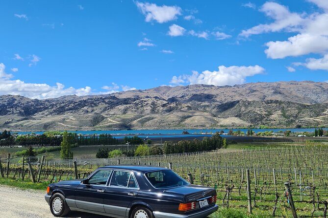 Cromwell Wine Tasting Tour using Classic Car - What Travelers Say: Authentic Feedback