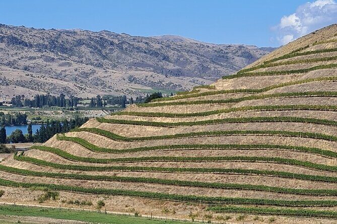 Cromwell Wine Tasting Tour using Classic Car - The Practical Aspects