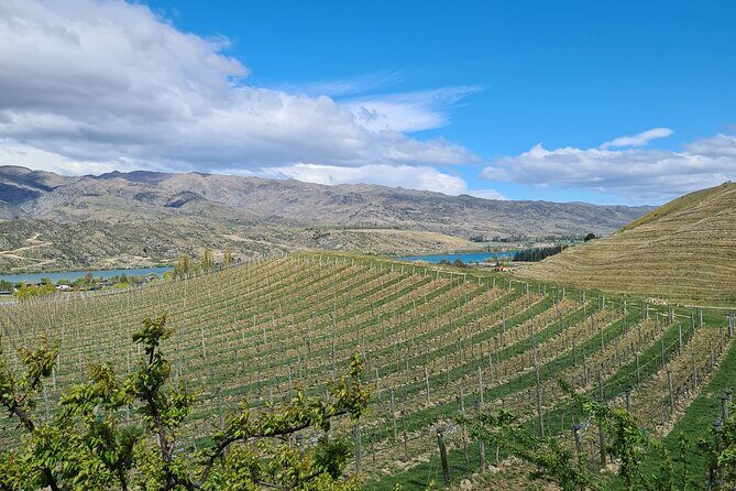 Cromwell Wine Tasting Tour using Classic Car - FAQ
