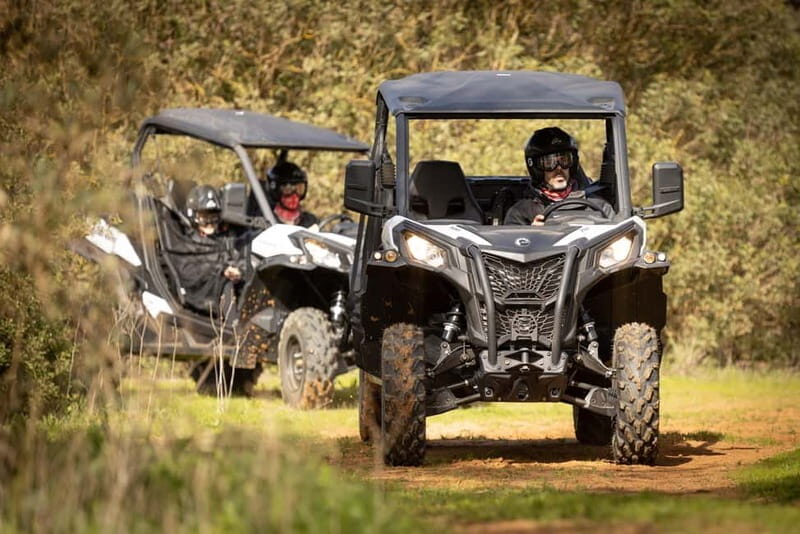 cross country - Exploring the Experience: What You Can Expect