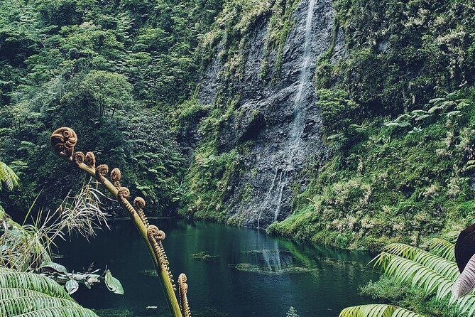 Crossing Over Tahiti Island Safari 4x4 - An In-Depth Look at the Experience