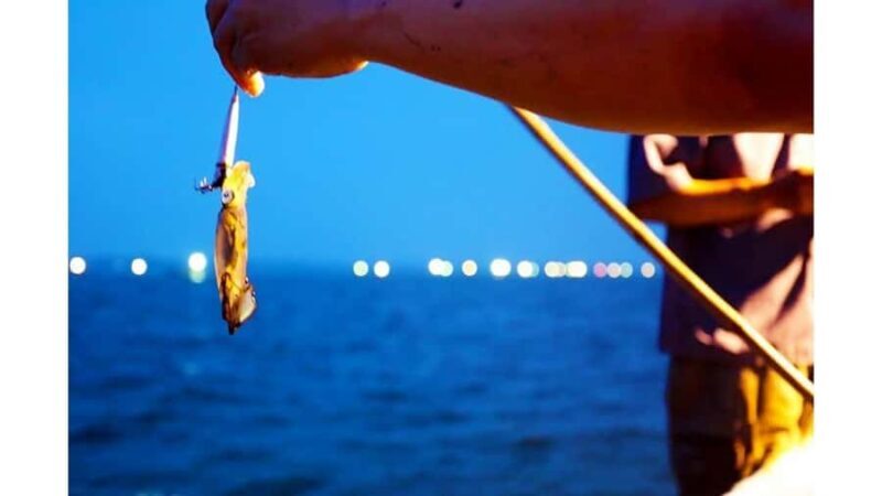 Crossing: Sunset Boat Trip with Squid Fishing - A Calm and Authentic Sea Experience