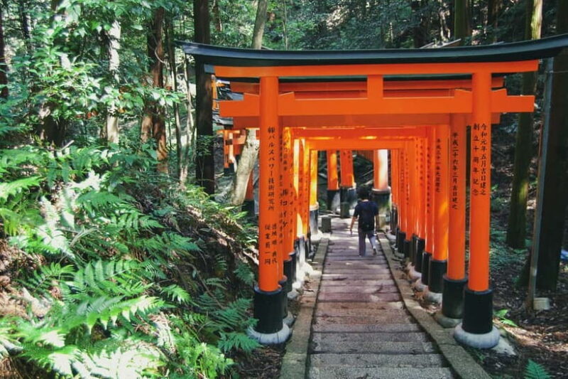 Crowd-Free Kyoto: Fushimi Inari, Nijo Castle & Kinkaku-ji - Who Will Love This Tour?