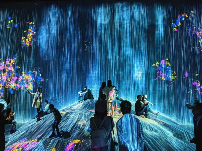 Crowd-Free Tokyo : teamLab, Roppongi Hills Views & NACT - Day in the Life: What to Expect from the Tour