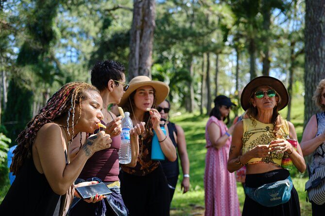 Croydon In The Mountains - Exotic Fruits & Flowers - FAQ