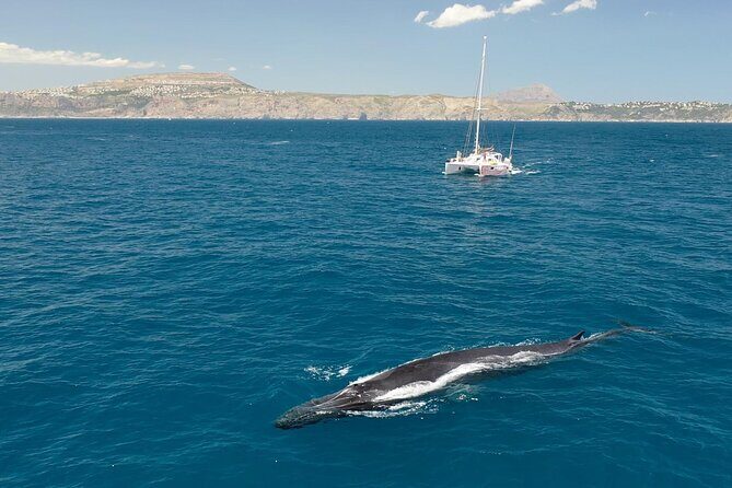 Cruise along the Three Capes on the Costa Blanca from Denia - Detailed Breakdown of the Itinerary