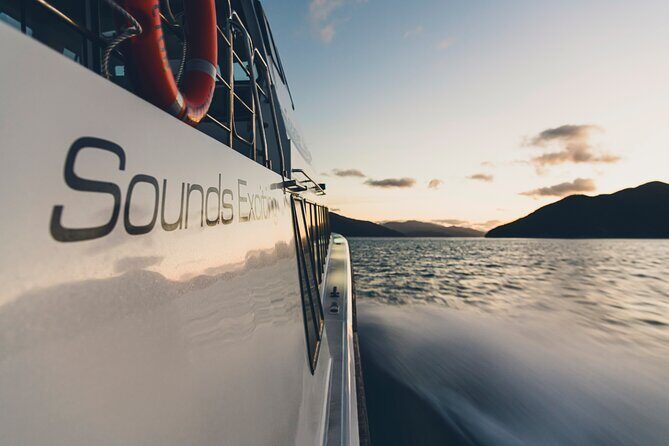 Cruise and Lunch at Furneaux Lodge - The Sum Up