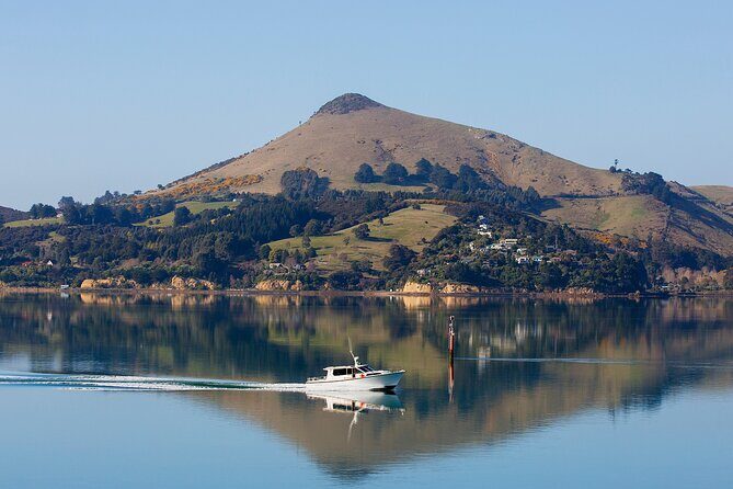 Cruise Dunedin City and Castle Tour - The Sum Up