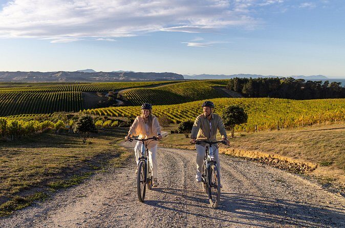 Cruise Excursion Self Guided Biking Wine Tour - Food and Drink Options