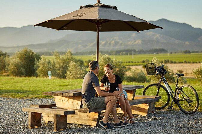 Cruise Excursion Self Guided Biking Wine Tour - Customer Experience and Feedback