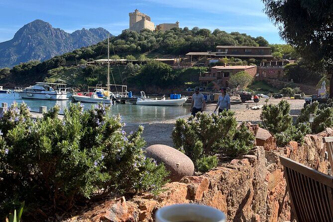 Cruise in a small group in Scandola Girolata Calanques de Piana - Final Thoughts: Why Choose This Experience?
