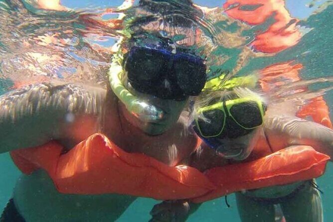 Cruise in Marietas Island with Lunch and Open Bar - Who Is This Tour Best For?