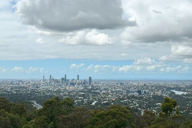Cruise Lines Shore Tour Brisbane Highlights and Lone Pine - What Travelers Say