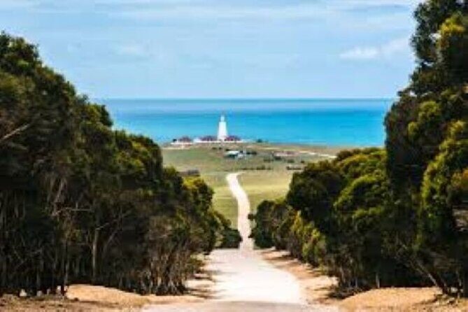 Cruise Ship Dudley Peninsula Tour - The Sum Up: Who Is This Tour Best For?