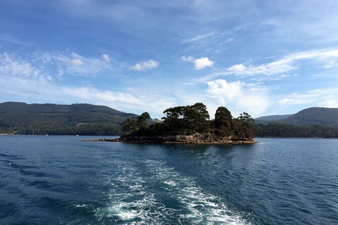 Cruise Ship - Port Arthur Shore Excursion - Hobart - What Makes This Tour Stand Out