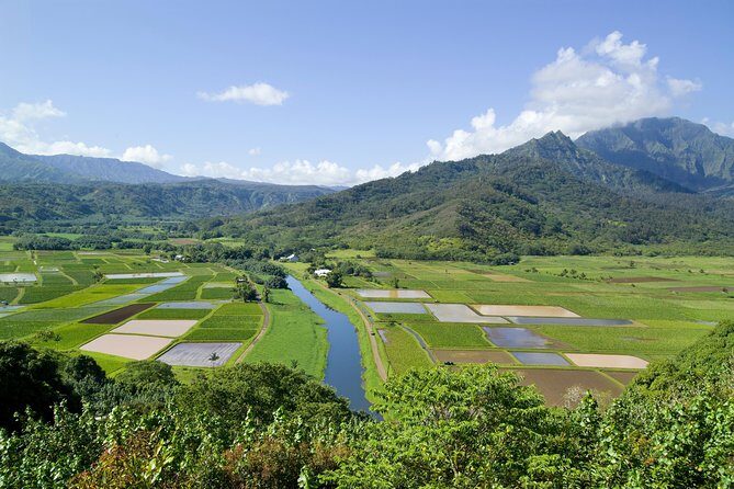 Cruise Ship Shore Excursion: Kauai Movie Sites Tour - Practical Details and Considerations