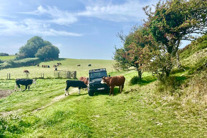CRUISE SHIP SPECIAL- JEEP SAFARI - PRIVATE GUIDED TOUR (6 Hours) - Itinerary Breakdown: What Youll See and Experience