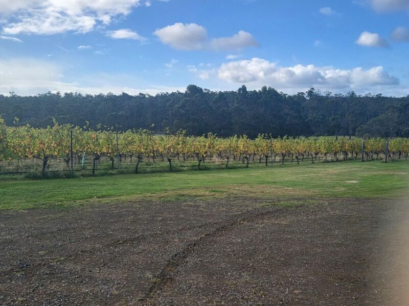Cruise Ship - Wine Shore Excursion - Hobart - The Itinerary in Detail
