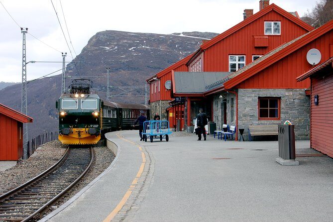 Cruise Special: Private Trip To Canyons And Waterfalls With Flåm Railway - Why You’ll Love This Tour