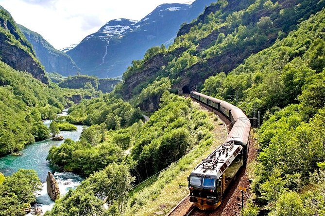 Cruise Special: Private Trip To Canyons And Waterfalls With Flåm Railway - Who Is This Tour Best For?
