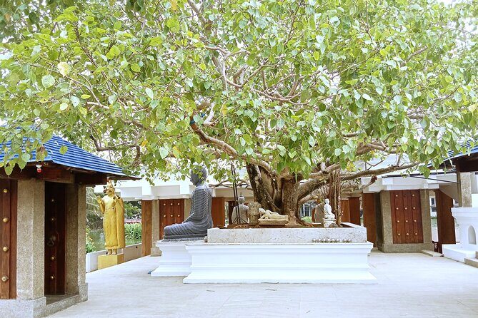 Cruise Stop Tour: Private Colombo City Highlights Trip - FAQ