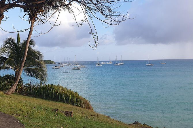 *Cruise Stopover* - CASCADE WITH CRAYFISH- Sainte-Anne Beach - The Itinerary: What to Expect on Your Guadeloupe Adventure