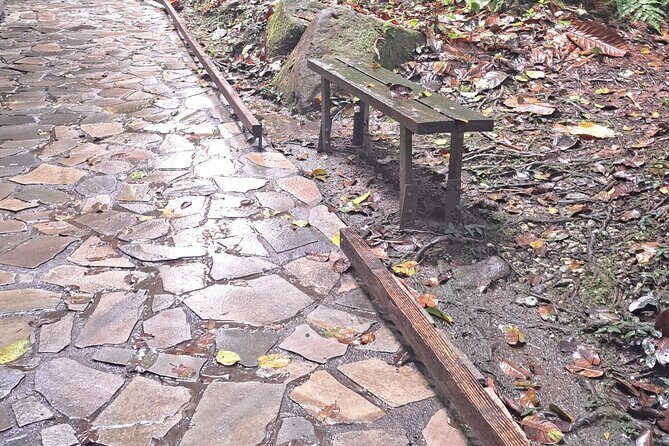 *Cruise Stopover* - CASCADE WITH CRAYFISH- Sainte-Anne Beach - Analyzing the Value: Is It Worth the Price?