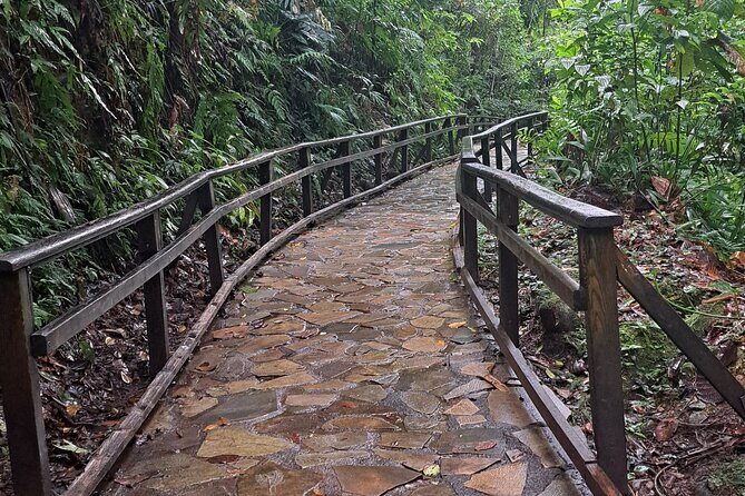 *Cruise Stopover* - CASCADE WITH CRAYFISH- Sainte-Anne Beach - Who Should Consider This Tour?