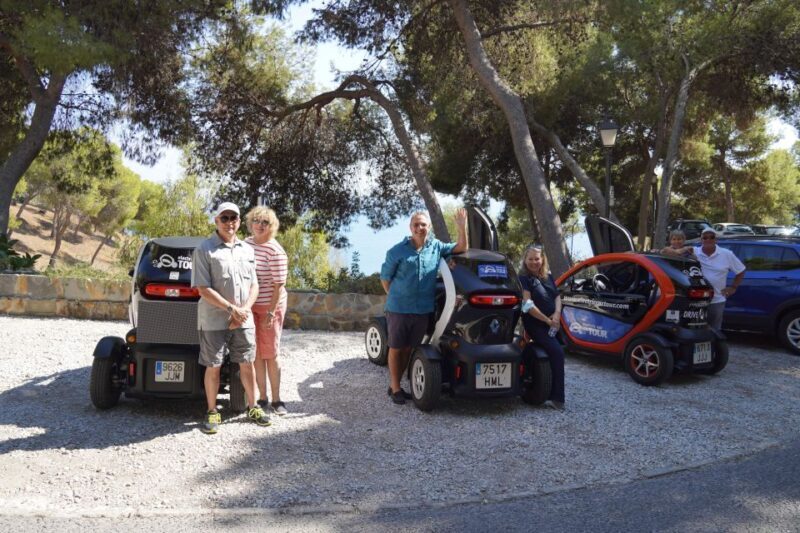Cruise Terminal Pickup: Málaga in 2 Hours by Electric Car - Who Should Consider This Tour?