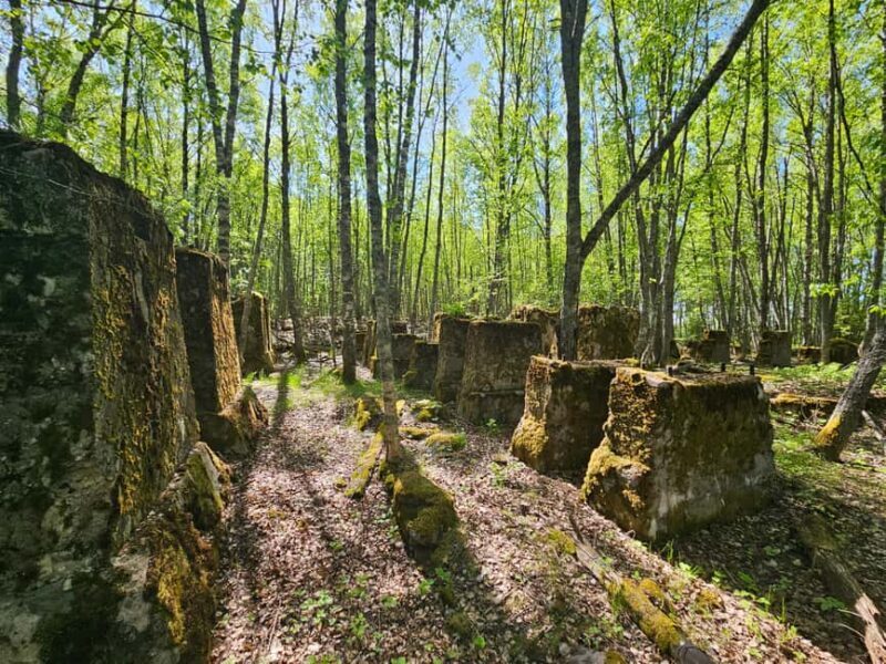Cruise to Old Kemi with Guided Walking Tour - Exploring Kemi’s Industrial Past: A Cruise to Old Kemi with Guided Walking Tour