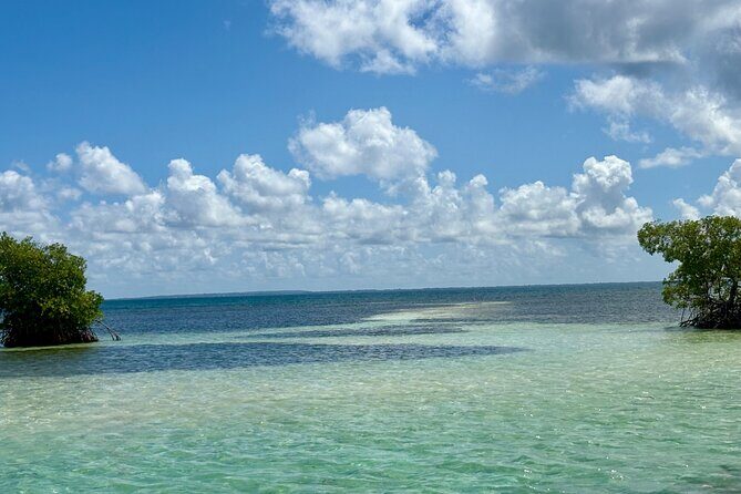 Cruise to the Grand Ass DE Sac in an open air aquarium - An In-Depth Look at the Experience