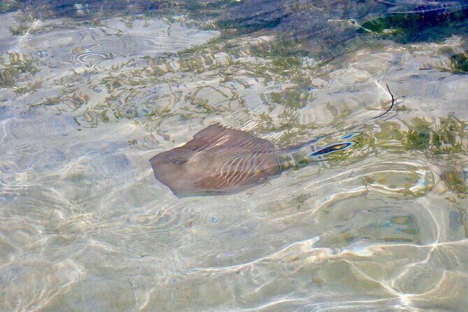 Cruise to the Grand Ass DE Sac in an open air aquarium - Final Thoughts