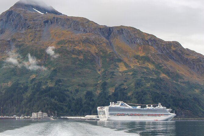 Cruise Transfer & Wildlife Tour: Anchorage to Whittier - A Scenic Journey with a Purpose