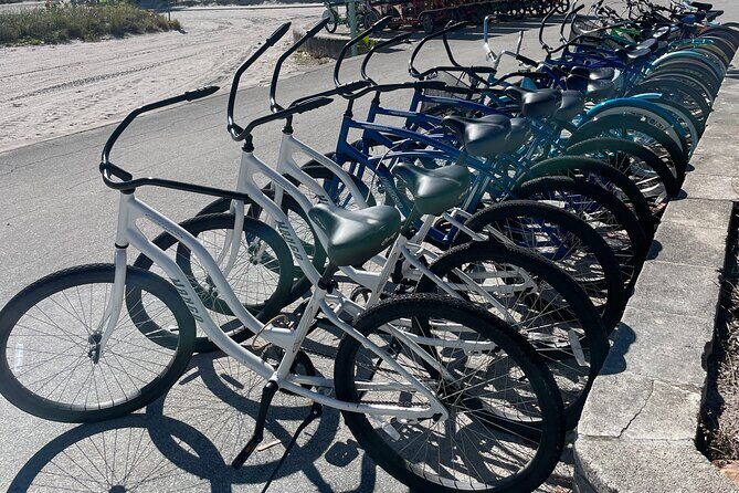 Cruiser Bike Rental at Crandon Park - Cruise through Miami’s Key Biscayne: A Complete Review of the Crandon Park Bike Rental Experience