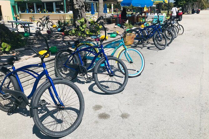 Cruiser Bike Rental at Crandon Park - What Do Reviews Say?
