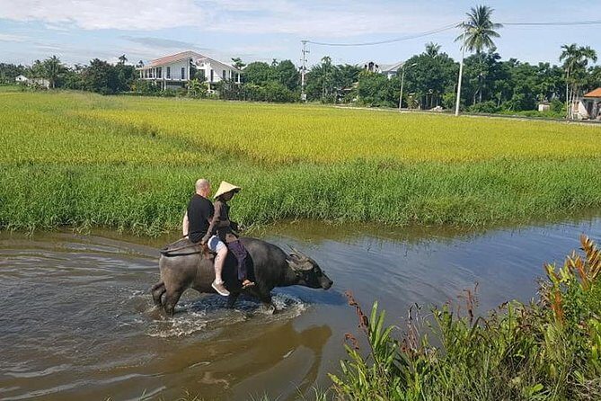 Cruiseship Trip from TIEN SA Port to visit HOI AN COUNTRYSIDE & Foot Massage - FAQs