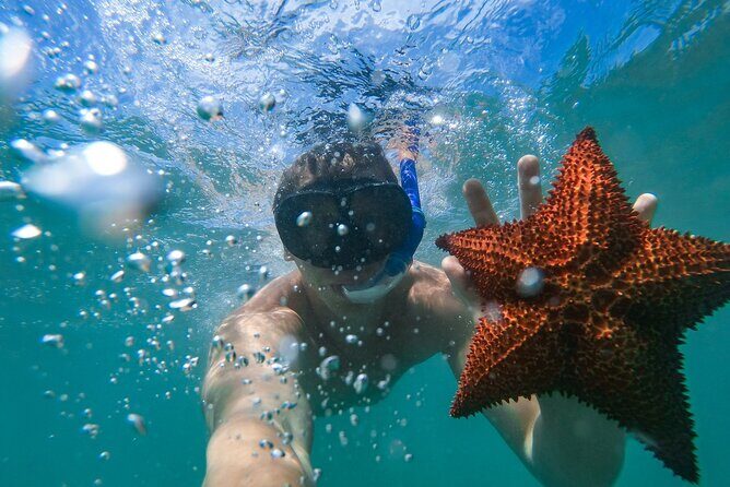 Cruising and Snorkeling Catamaran Private Tour in Punta Cana - Who Will Love This Tour?
