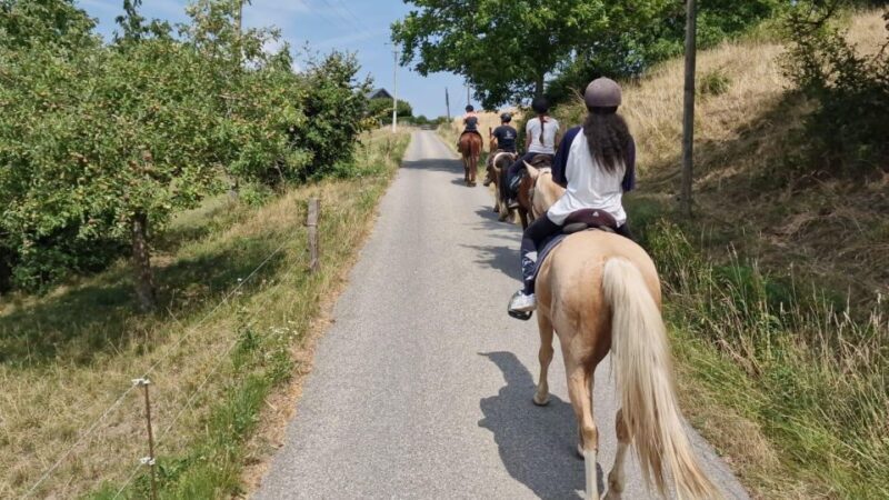 Cruseilles: Horseback Riding in the Countryside - Cruseilles: Horseback Riding in the Countryside - A Practical and Authentic Tour Review