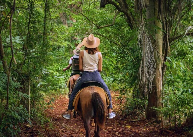 Cruseilles: Horseback Riding in the Countryside - What the Ride Includes and What You Can Expect