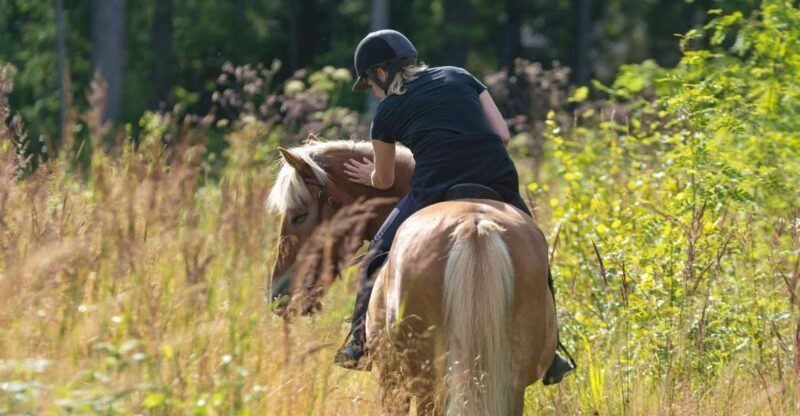 Cruseilles: Horseback Riding in the Countryside - Logistics and Practical Aspects